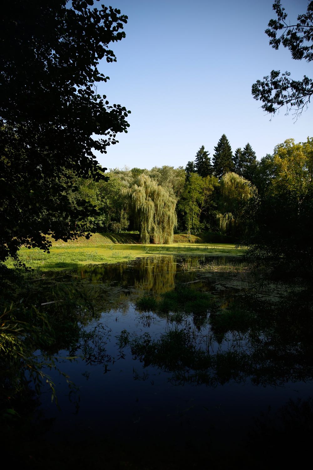 Castelul-Savarsin-vara-anului-2016-©Cristian-Coposesc | Familia Regală ...