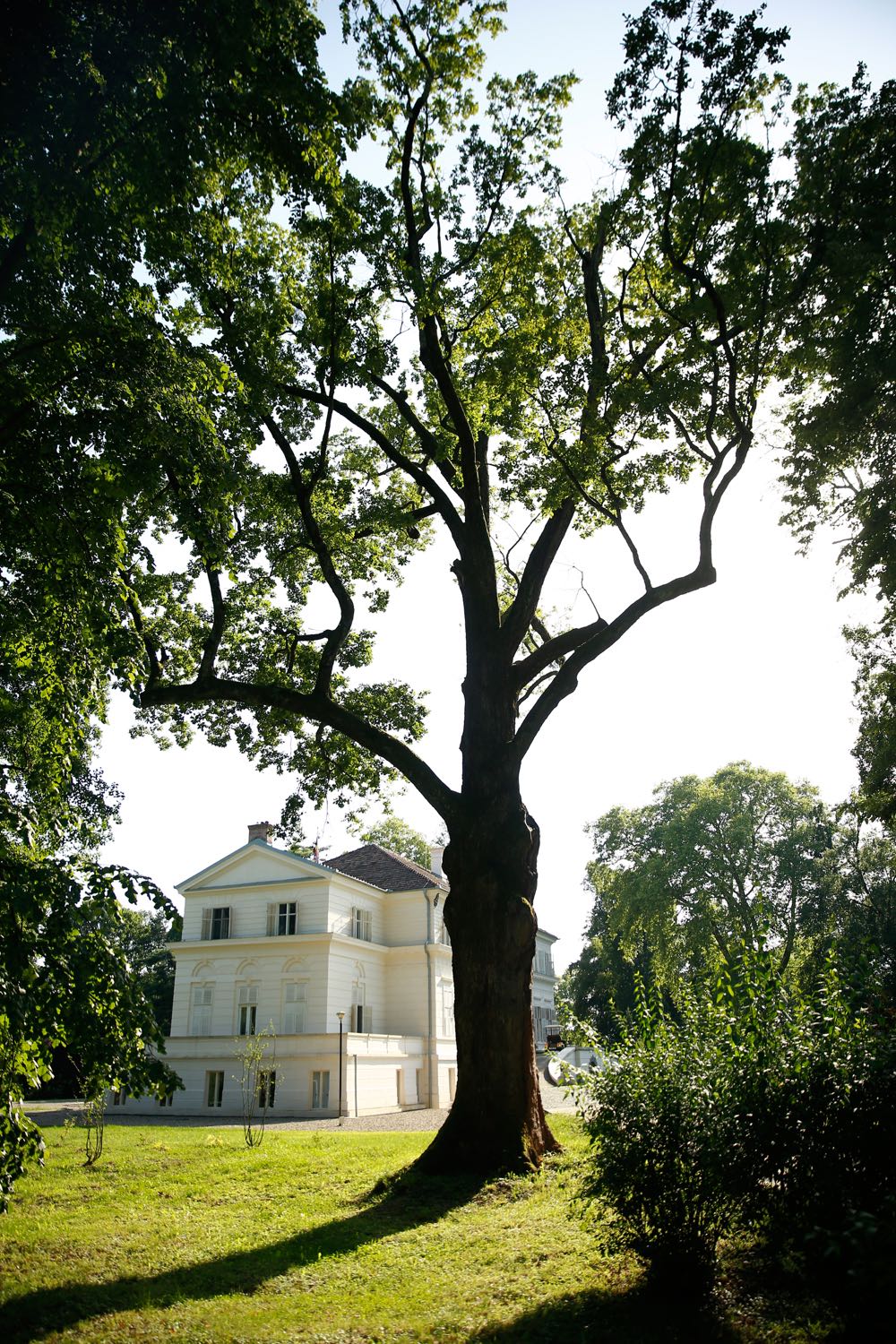 Castelul-Savarsin-vara-anului-2016-©Cristian-Coposesc | Familia Regală ...