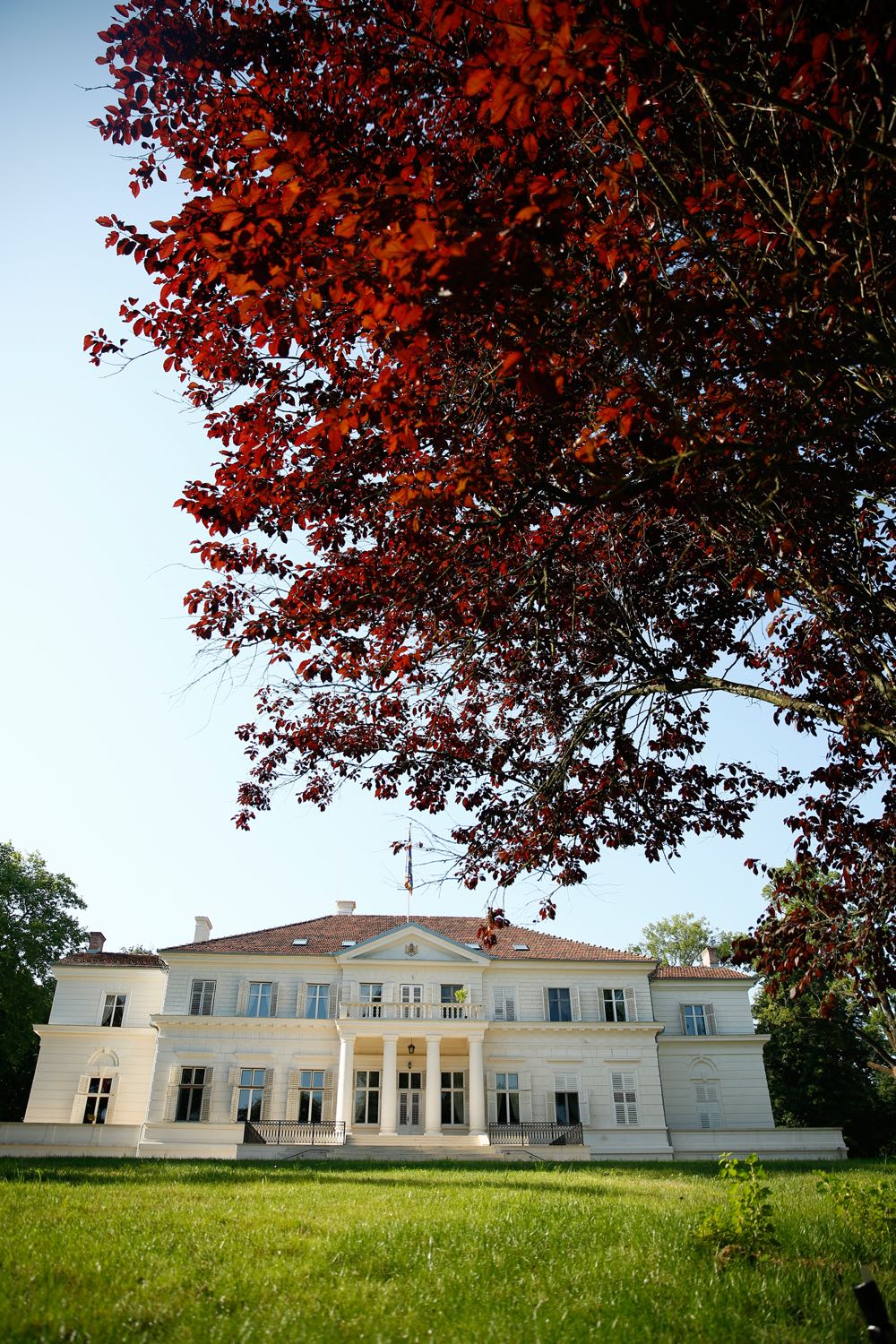 Castelul-Savarsin-vara-anului-2016-©Cristian-Coposesc | Familia Regală ...